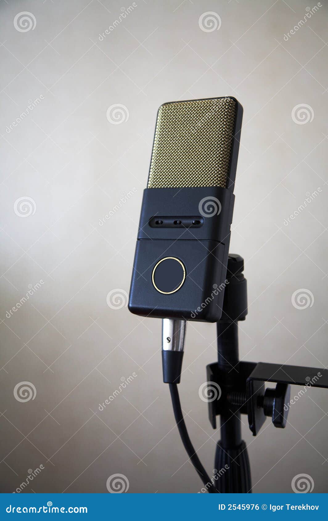 Modern microphone stock photo. Image of microphone, speaker - 2545976