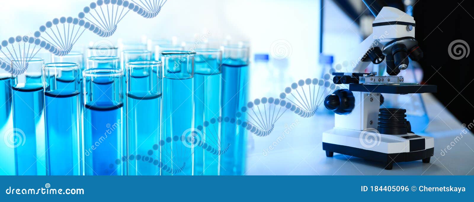 Microscope and Many Test Tubes for Analysis in Laboratory. Banner ...