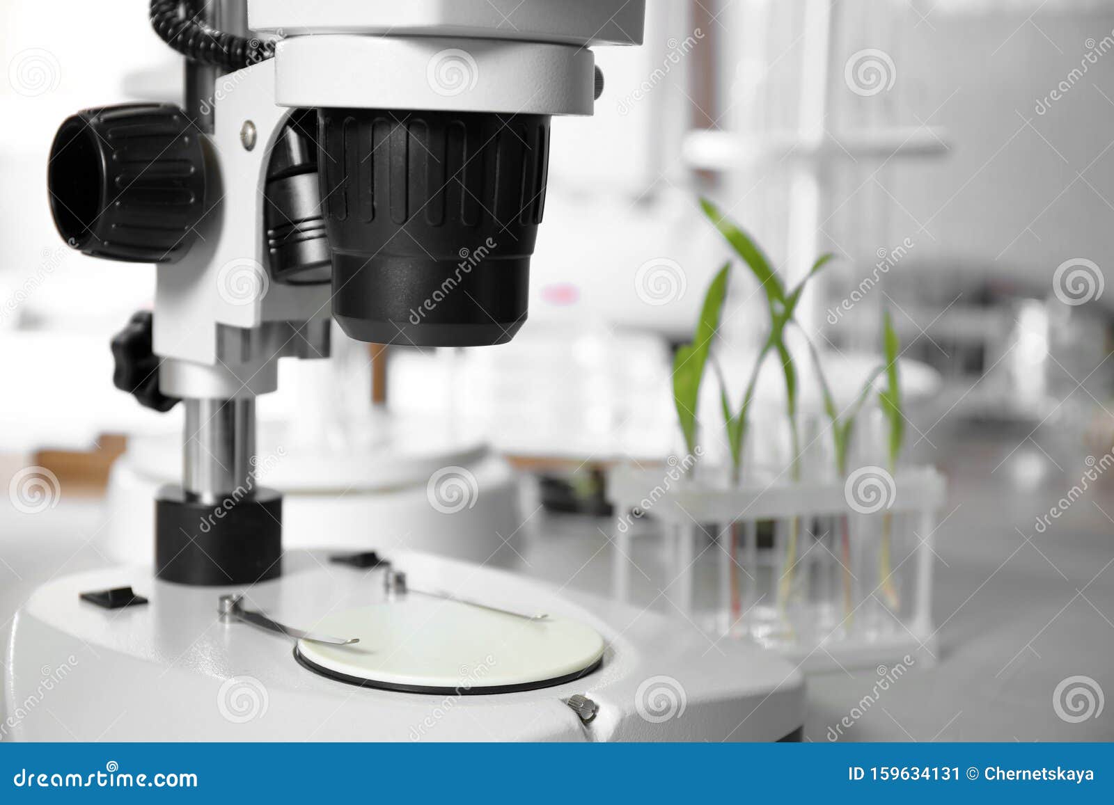 Modern Microscope on Table in Laboratory Stock Image - Image of organic ...