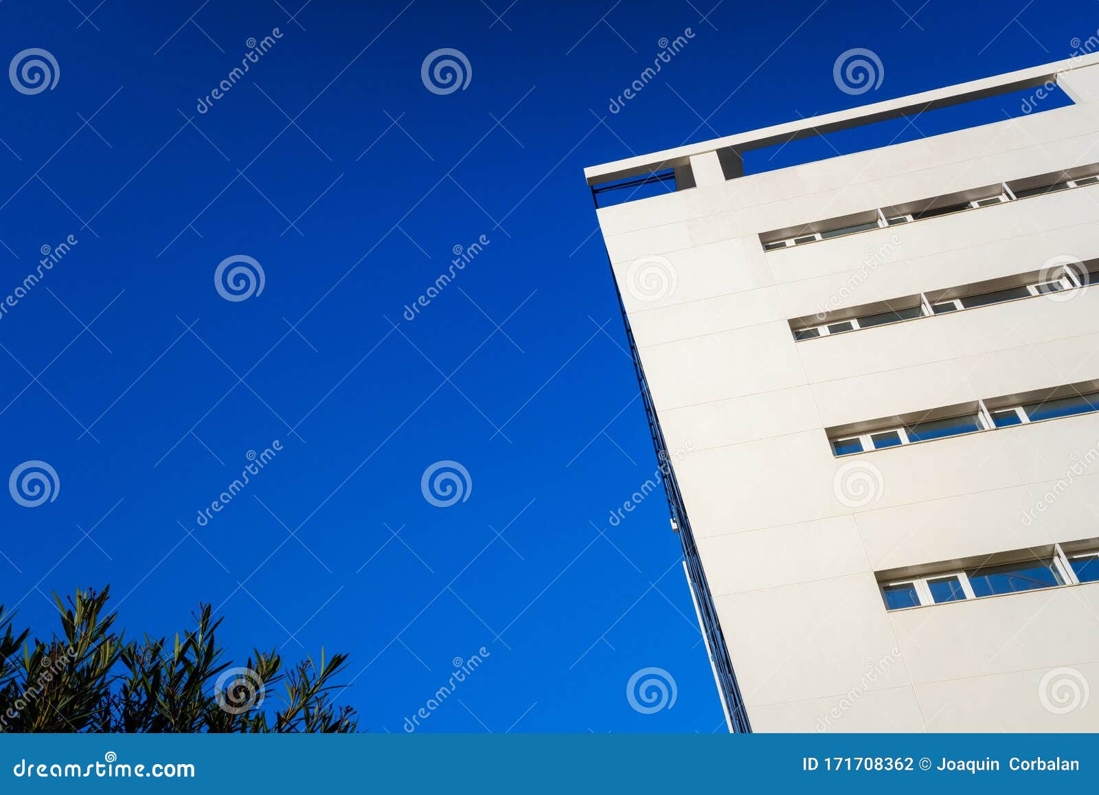Smooth Walls With Clean Floors And Lovely Flower Pots Stock Photography ...