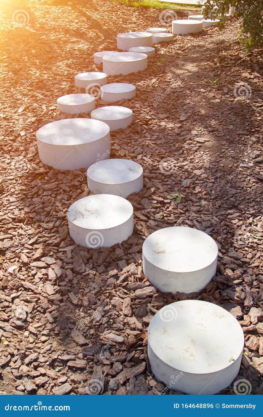 Modern Minimalist Path of Round Stones in Park Leading on Ground ...