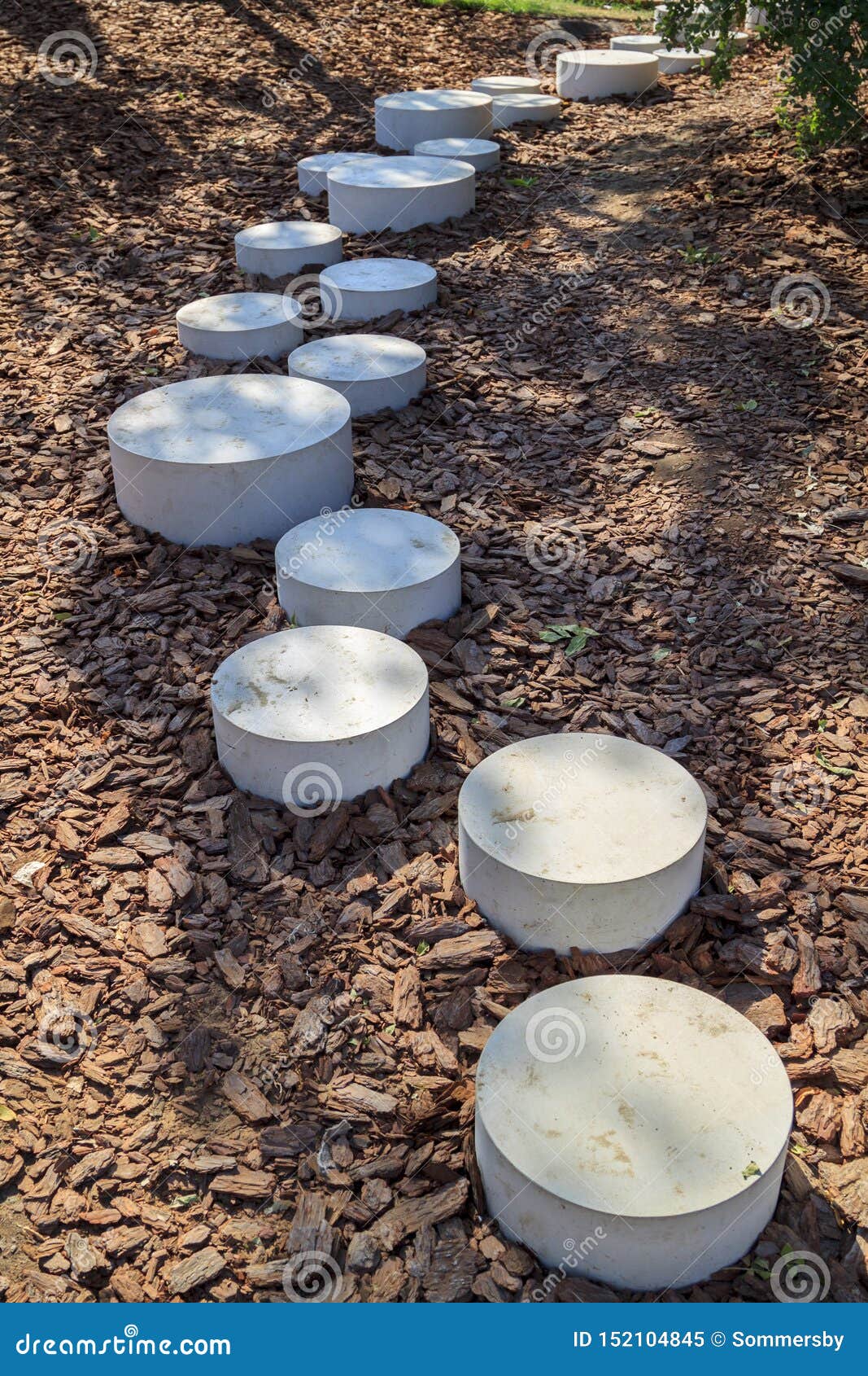 Modern Minimalist Path of Round Stones in the Park Leading on Th Stock ...