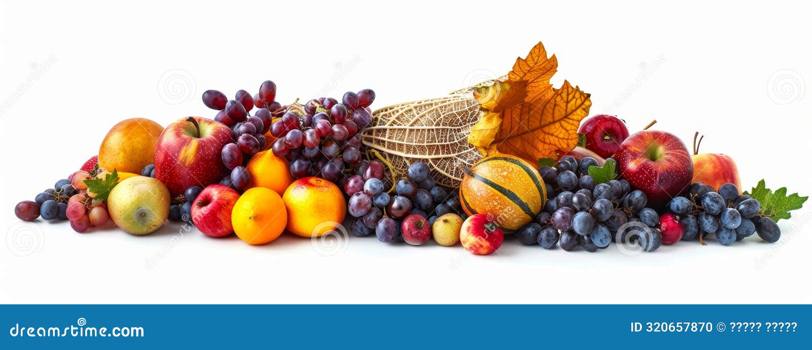 Modern and Minimalistic Bright Cornucopia Design Isolated on Clean ...