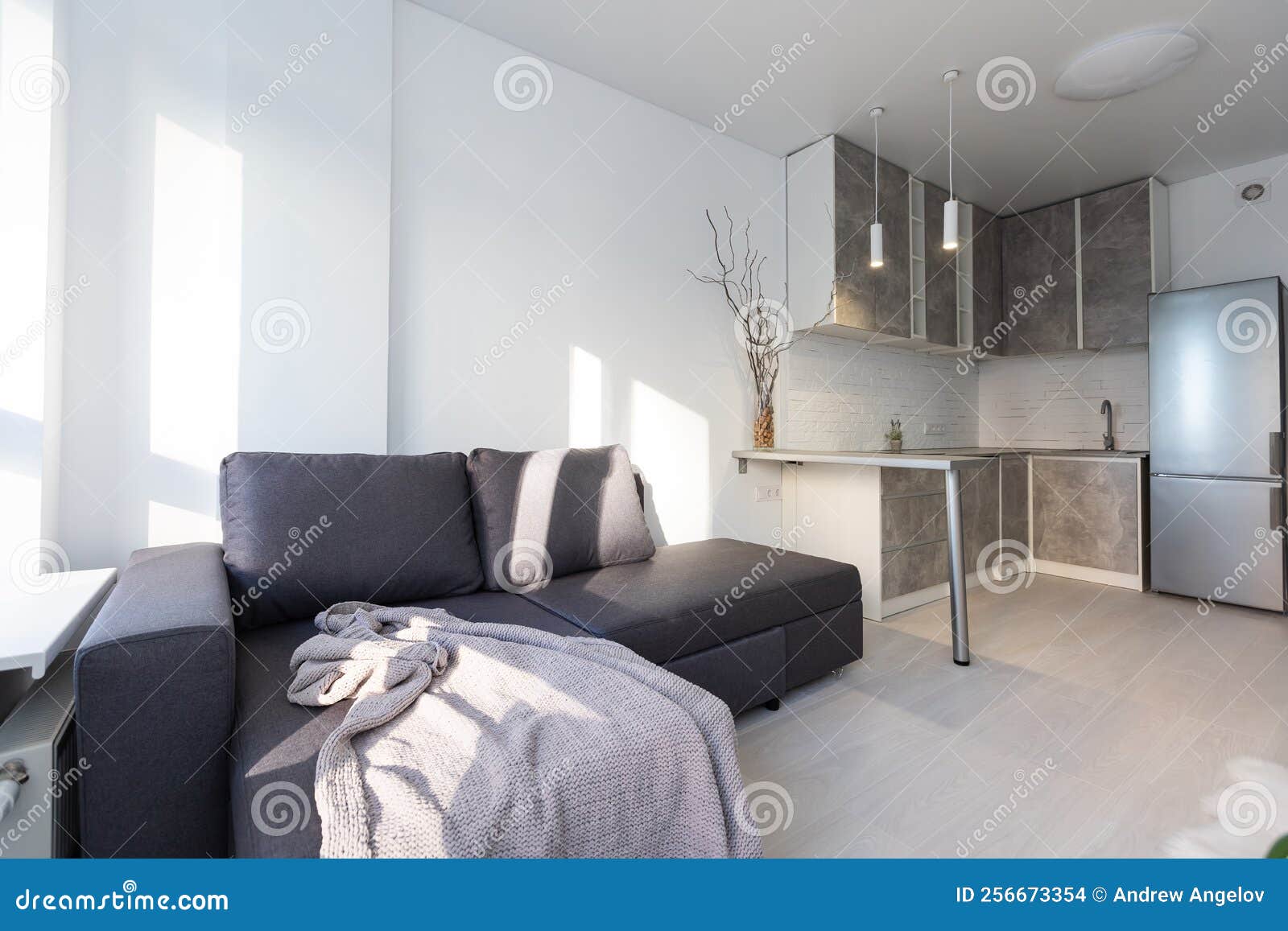 Modern Minimalistic Dark Gray Loft Style Studio Apartment Interior ...