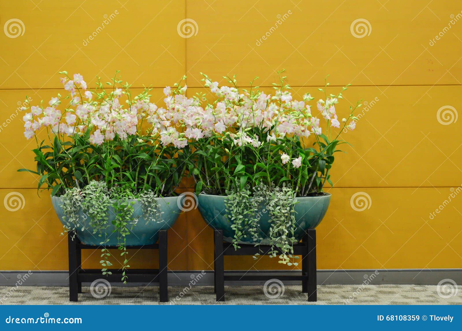 Modern mixed flower stock image. Image of green, material - 68108359