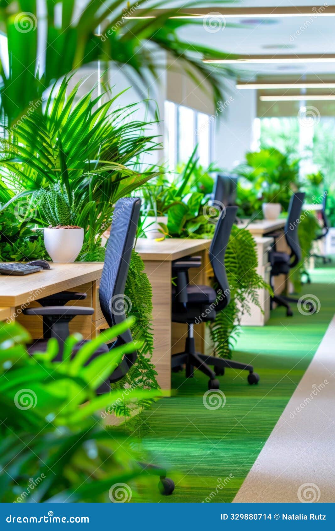 A Modern, Nature-inspired Office Workspace Featuring Rows of Desks with ...