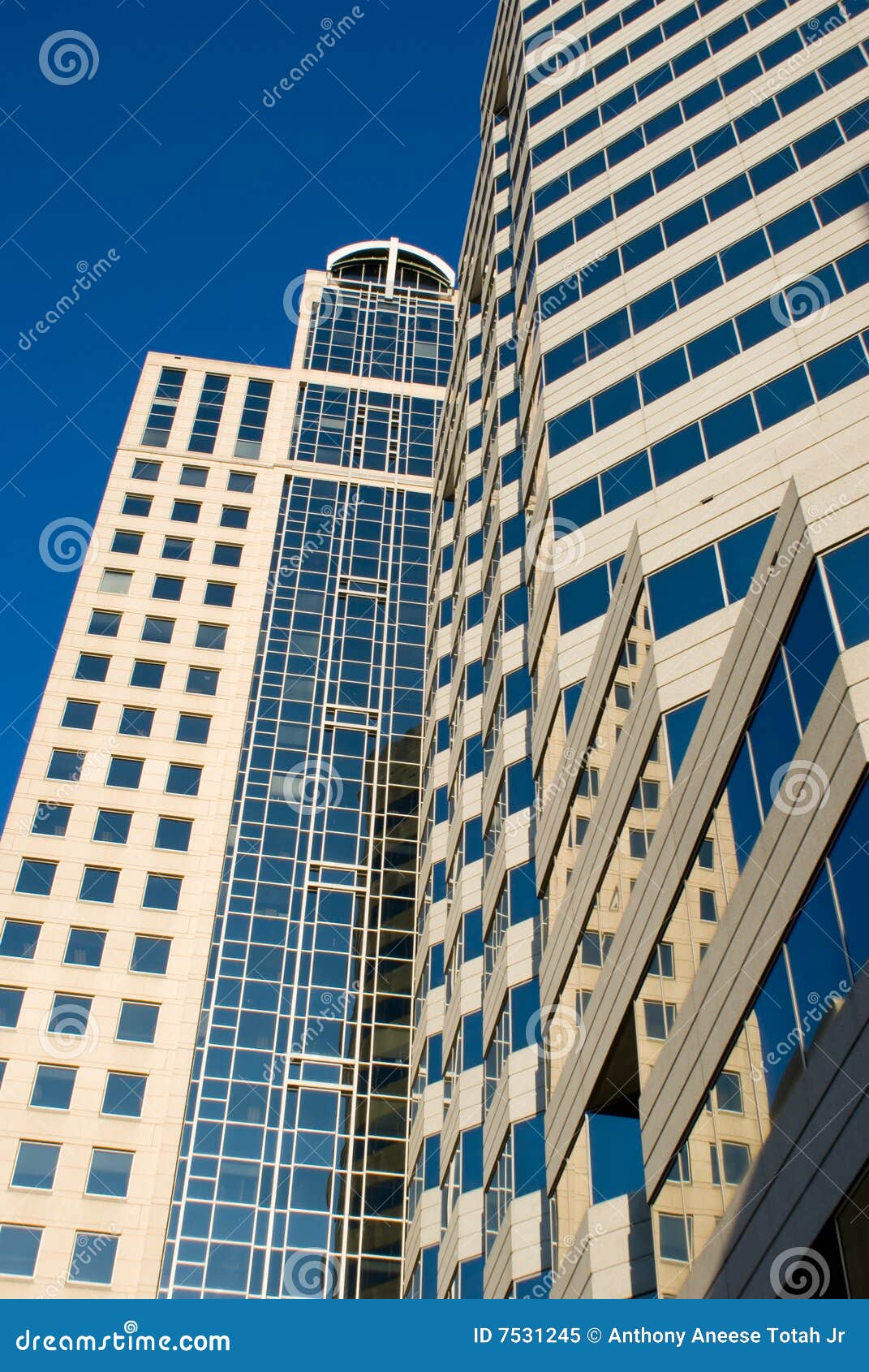 Modern Office Building stock image. Image of carolina - 7531245