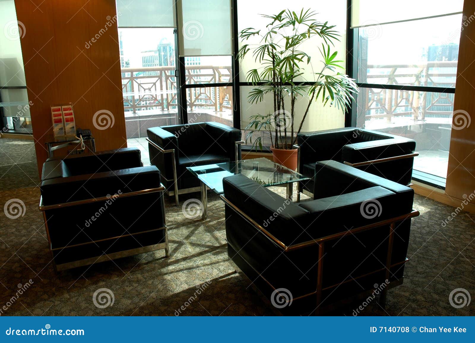 Leather Plating Photos - Free & Royalty-Free Stock Photos from Dreamstime