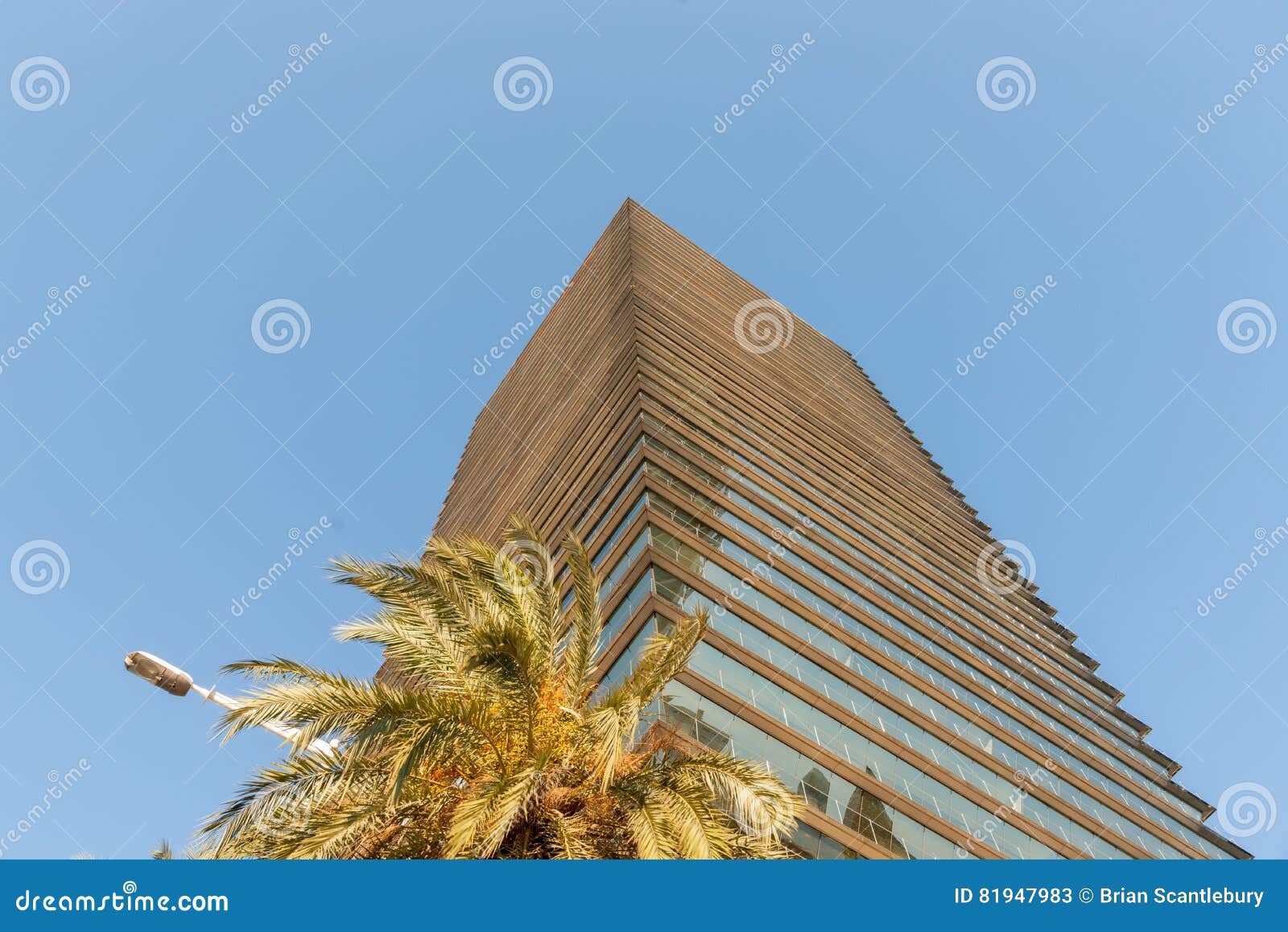 Modern Office Building Low Angle Point of View Stock Image - Image of ...