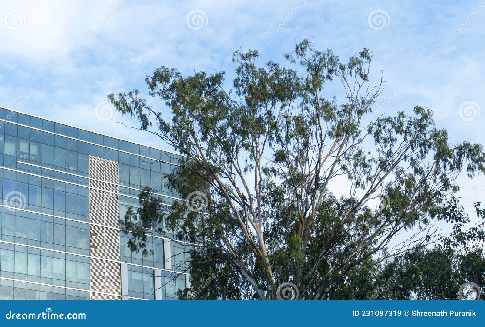 Modern Office Building with Tree and Sky Background Stock Image - Image ...