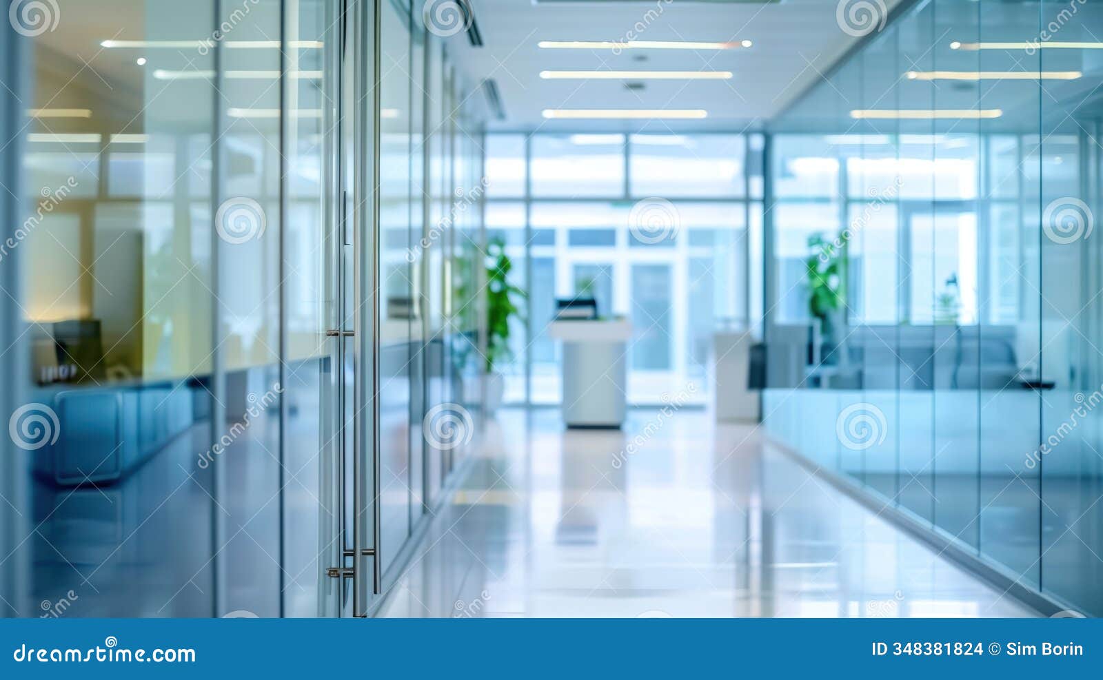 A Modern Office Entrance with Glass Doors, a Reception Desk Visible ...