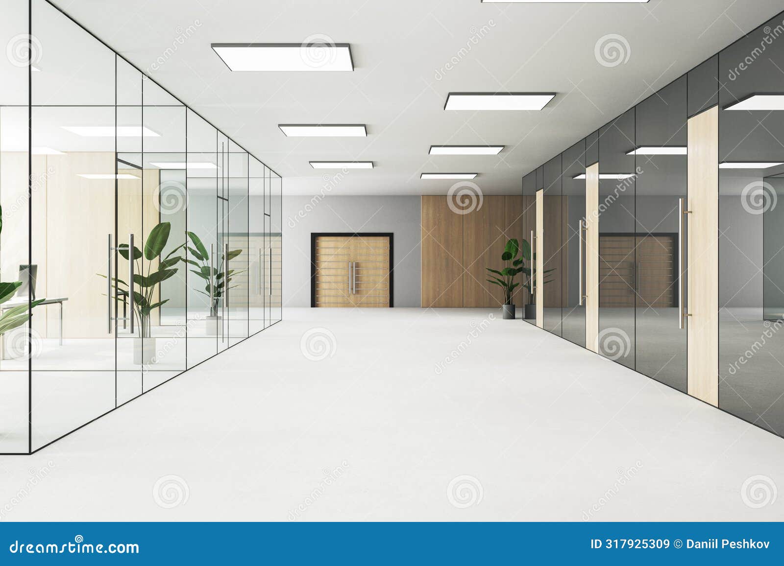 Modern Office Hallway Interior with Wooden, Glass and Concrete Elements ...