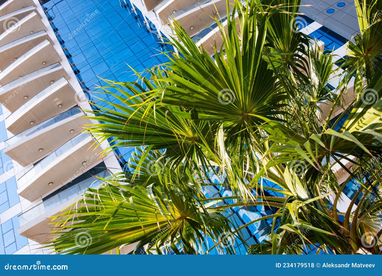 Modern Office or Hotel Building with a Mirrored Blue Facade Surrounded ...