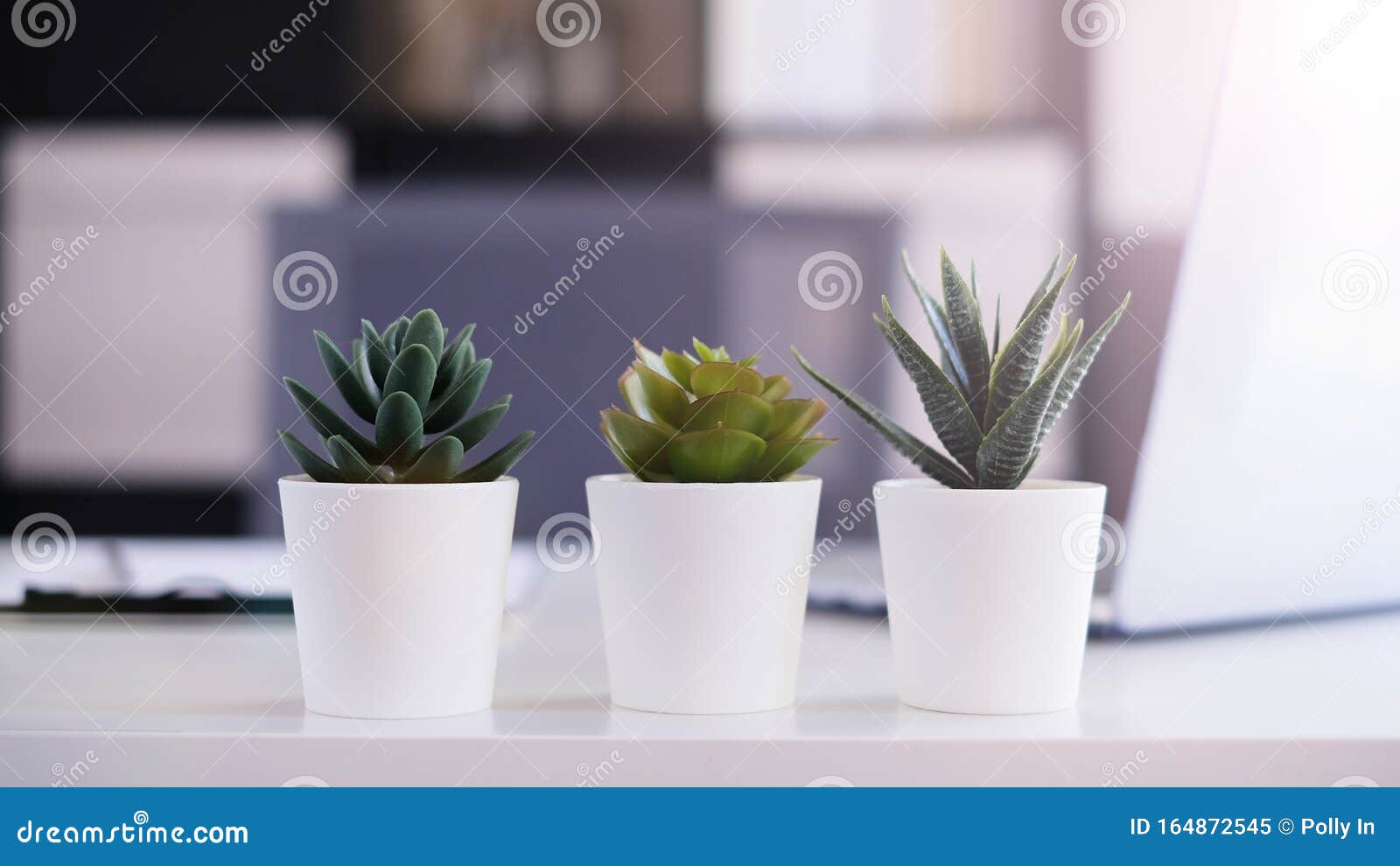 Modern Office Working Space Decor with Three Plant Pots Stock Image ...