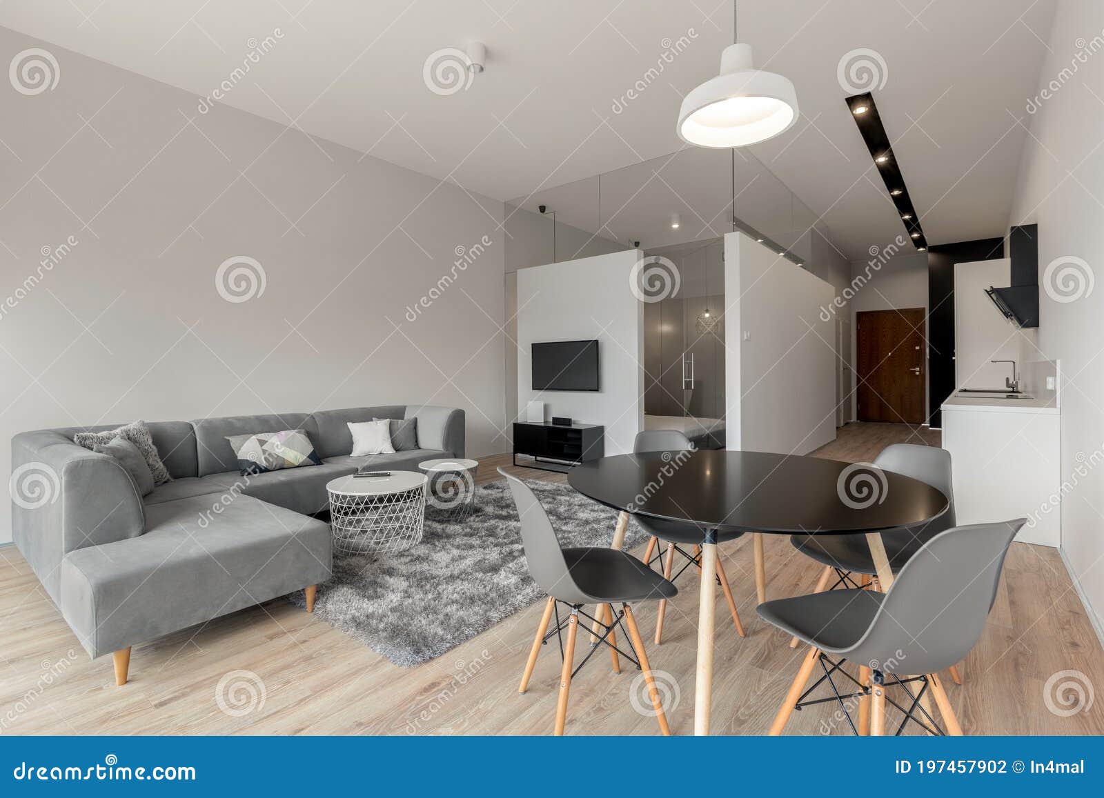 Modern open plan apartment stock photo. Image of elegant - 197457902