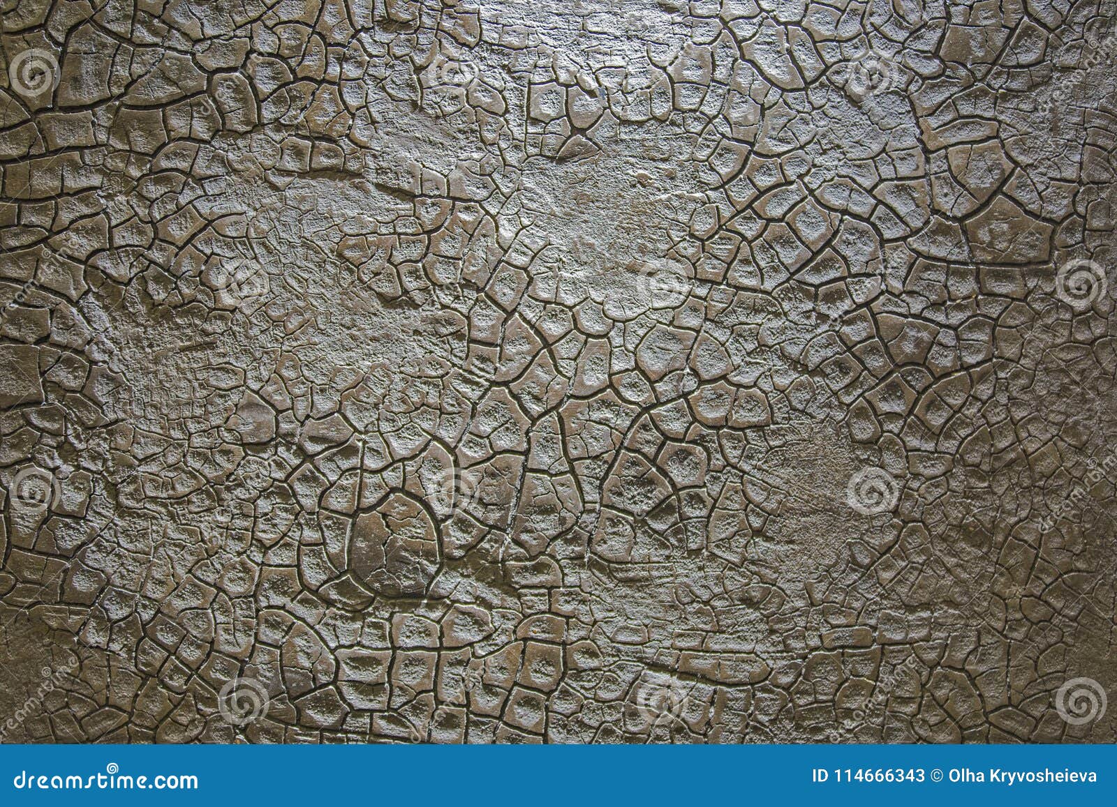 Modern Pattern on Wood Texture Background, Wood Texture for Interior ...