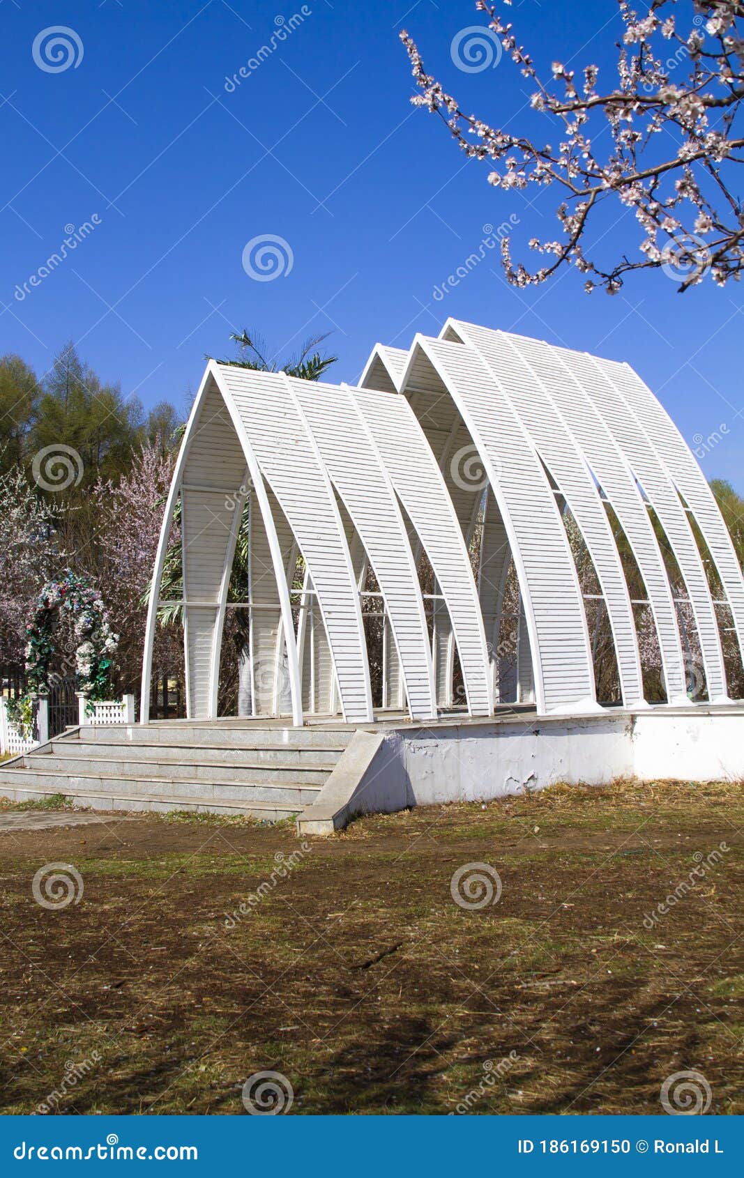 Modern Pavilion in the Park in Spring Stock Photo - Image of cherry ...