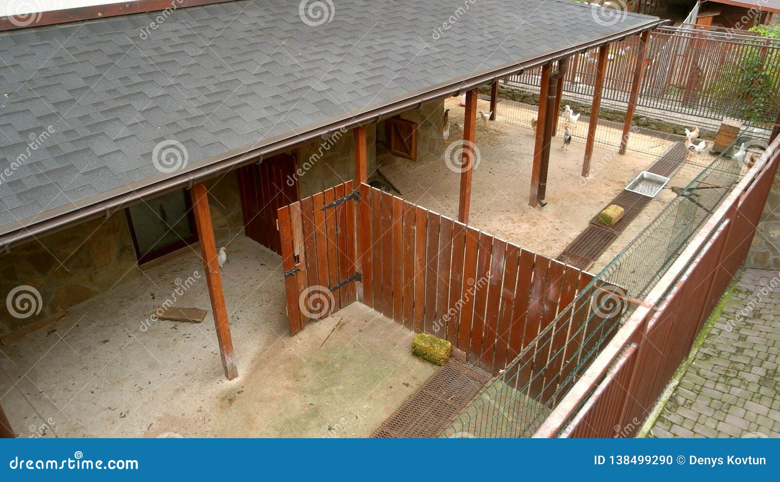 Modern Poultry Breeding Farm. Stock Photo - Image of feather, beak ... Modern Poultry Breeding Farm. Stock Photo - Image of feather, beak ...