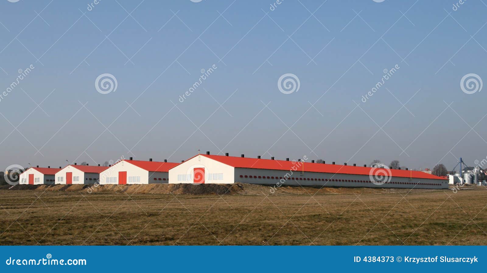 Modern poultry farms stock image. Image of chicken, buildings - 4384373