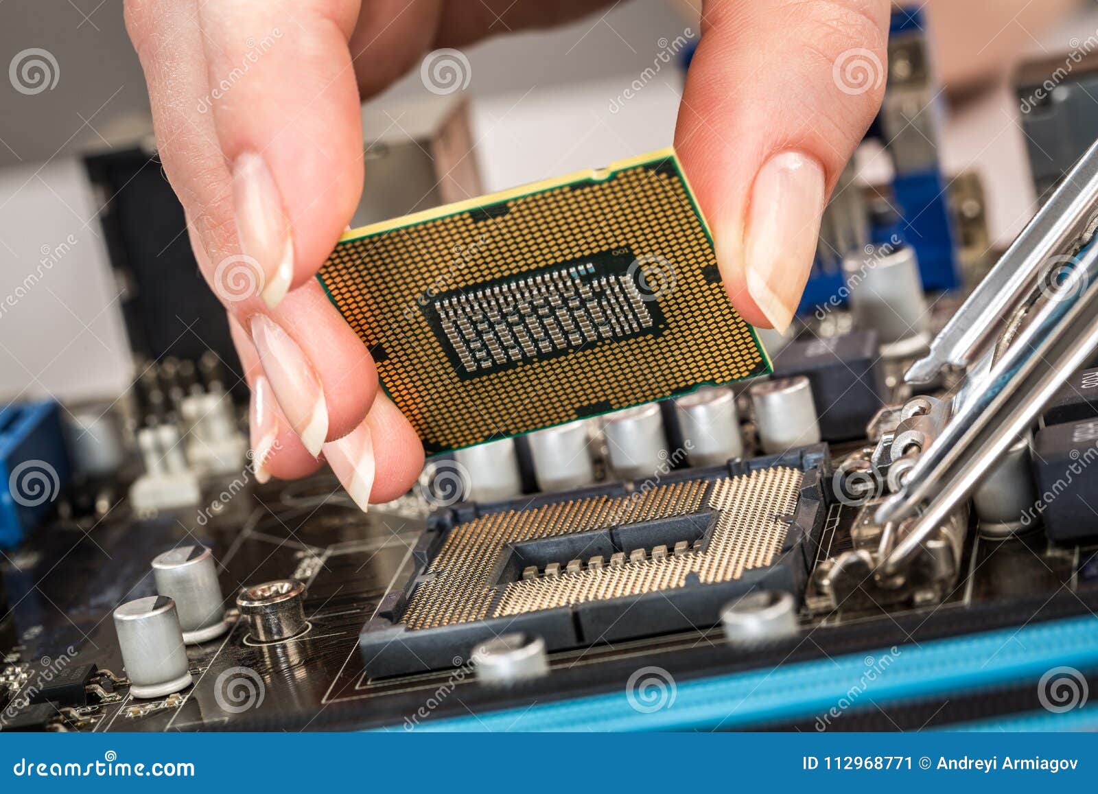 Modern Processor and Motherboard Stock Image - Image of service ...