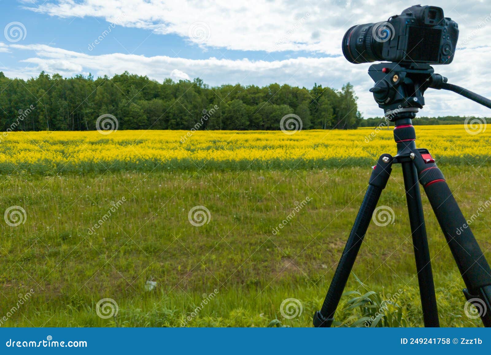 Modern Professional Mirrorless Camera on Tripod Shooting Yellow Field ...