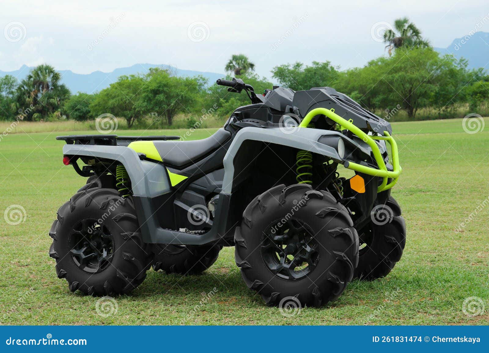 Modern Quad Bike on Green Grass Outdoors Stock Photo - Image of lawn ...
