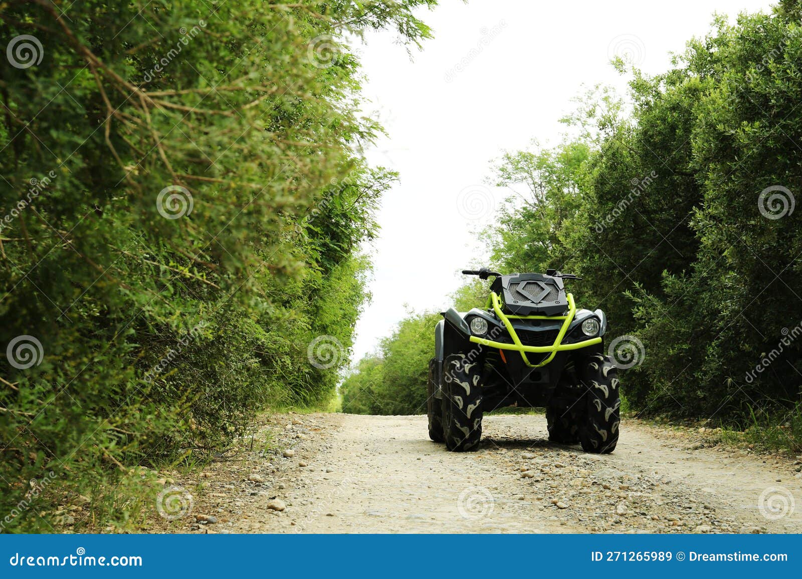 Modern Quad Bike on Pathway Near Trees Outdoors Stock Image - Image of ...