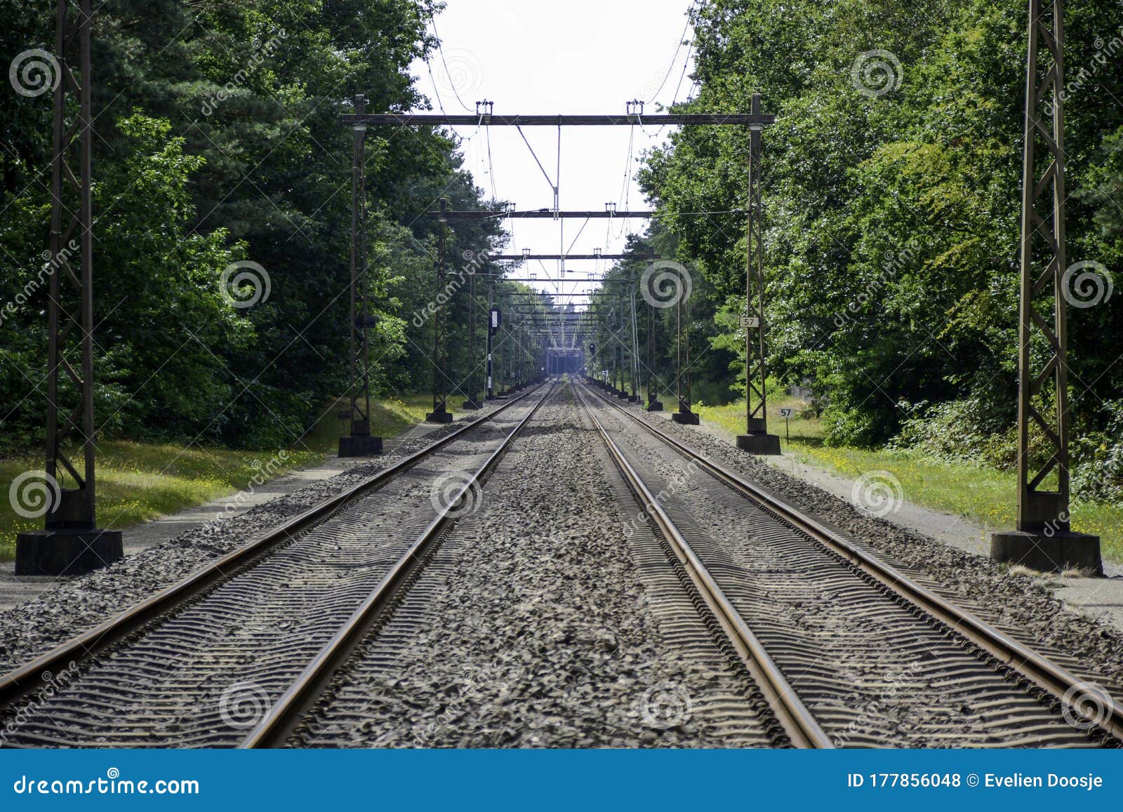 A Modern Railroad Track between the Trees Stock Photo - Image of ...