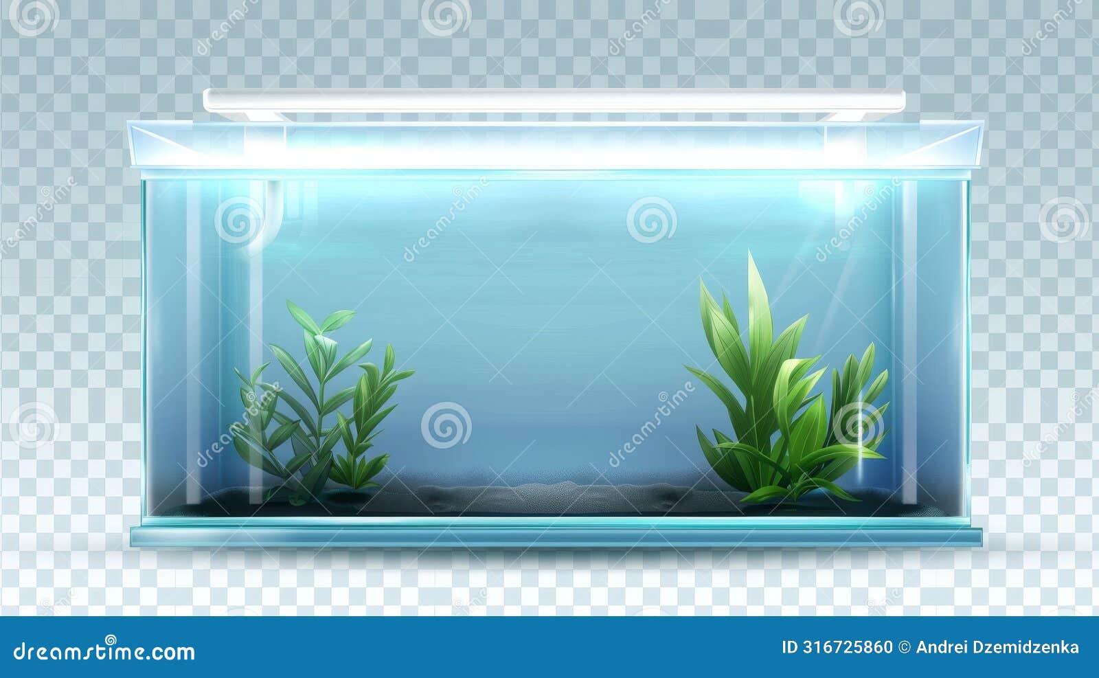 Modern Realistic Mock-up of Clear Rectangular Tank for Fish, Aquatic ...