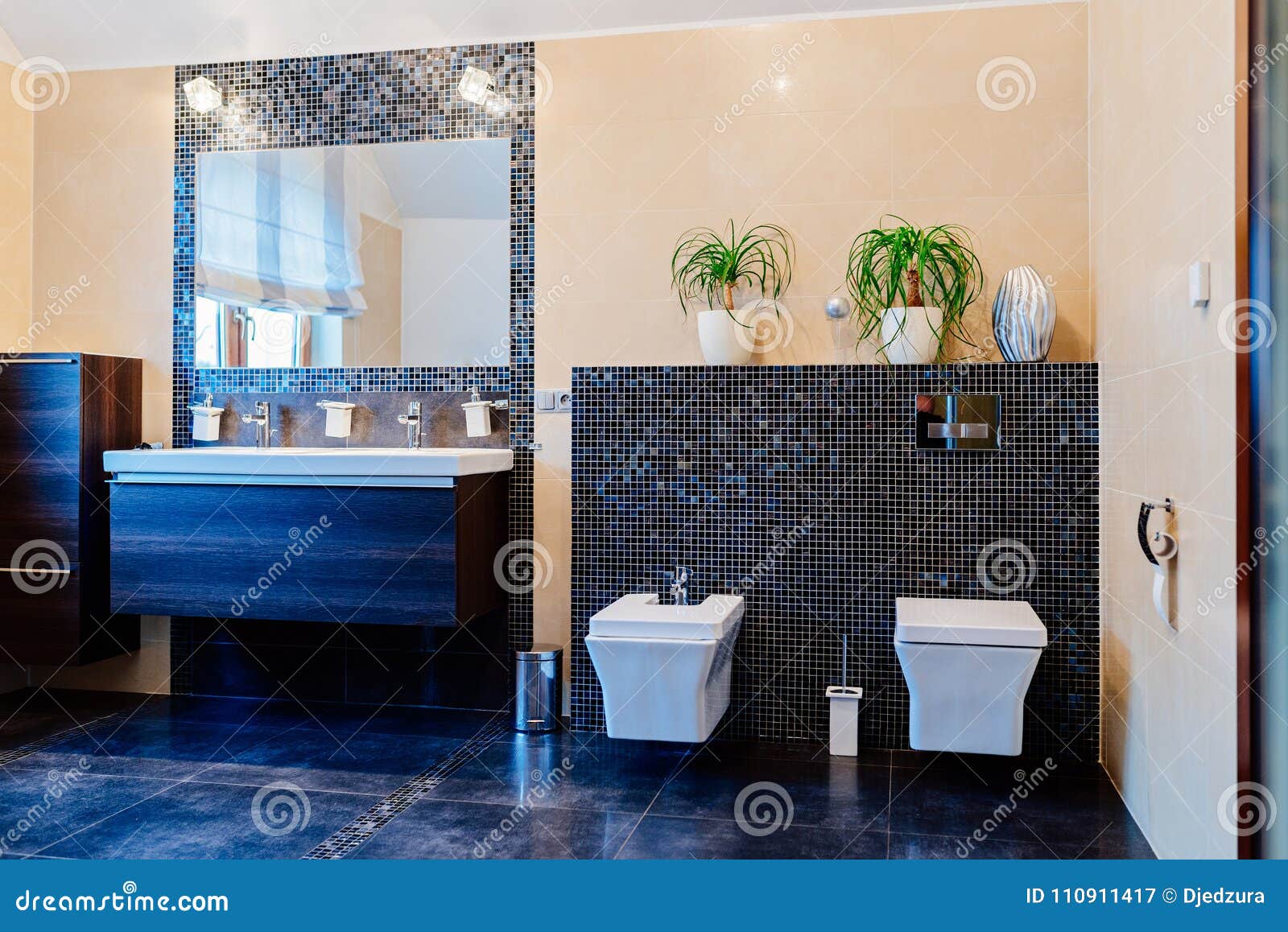 Modern Restroom with Lavatory and Bidet Stock Image - Image of luxury ...