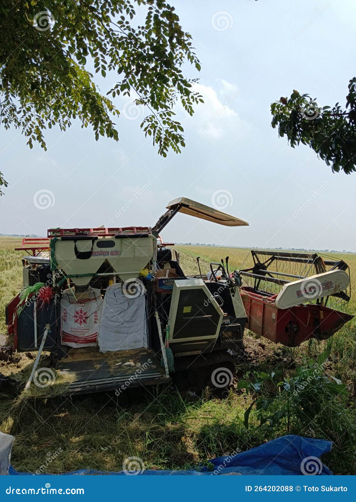 Modern Rice Harvesting Tools are Starting To Replace Traditional Tools ...
