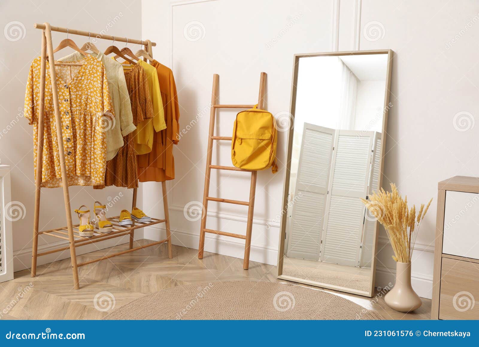 Modern Room with Clothes Rack and Big Mirror. Interior Design Stock ...