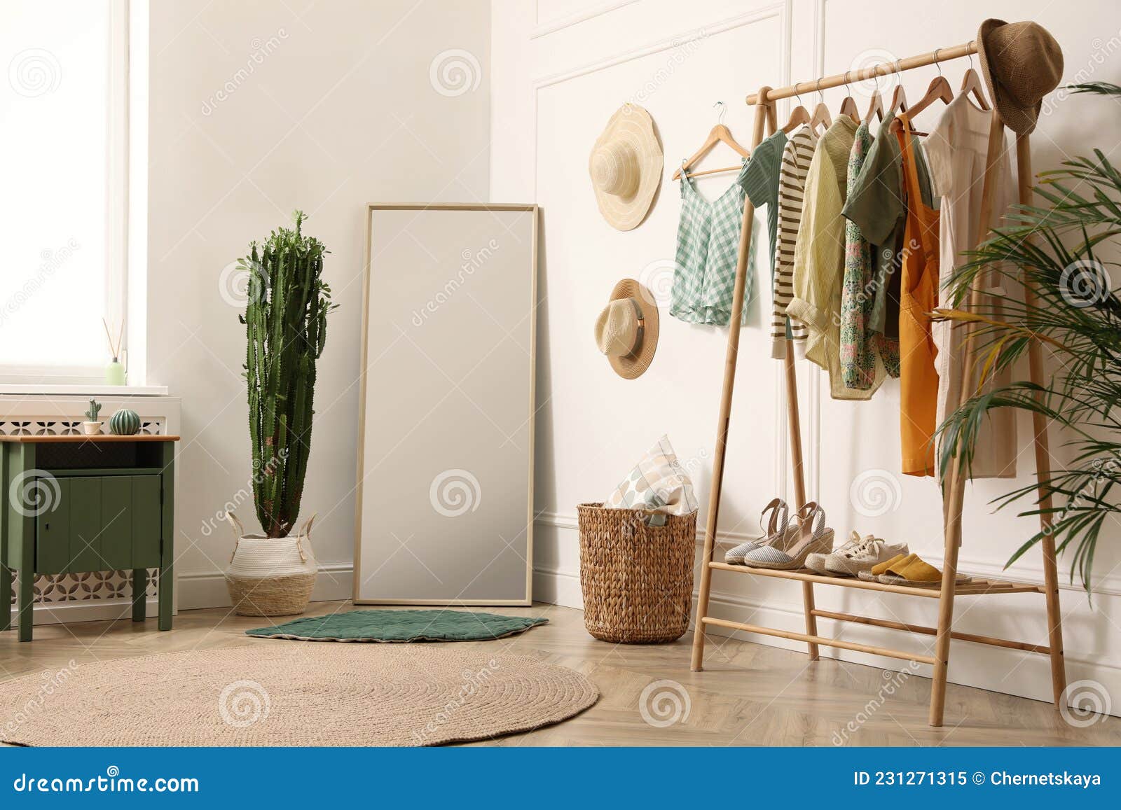 Modern Room with Clothes Rack and Big Mirror. Interior Design Stock ...
