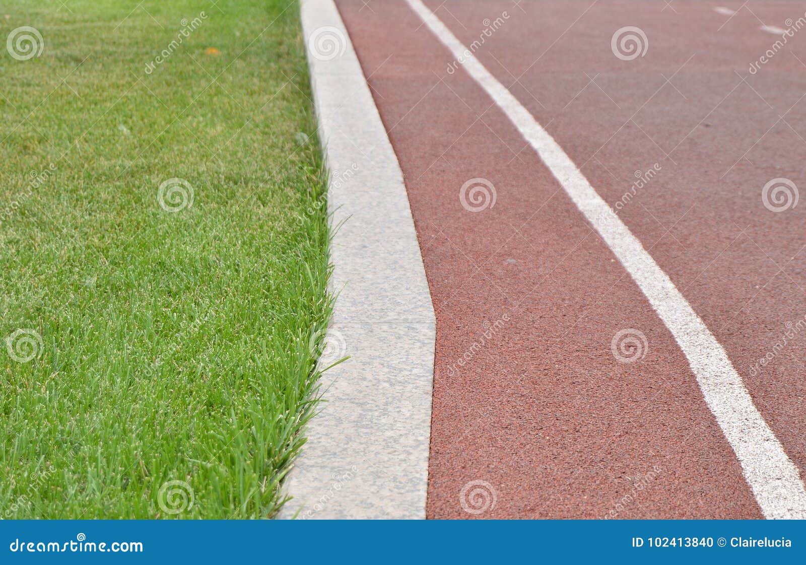 Modern Running Track in the Park, Place for Text Stock Photo - Image of ...