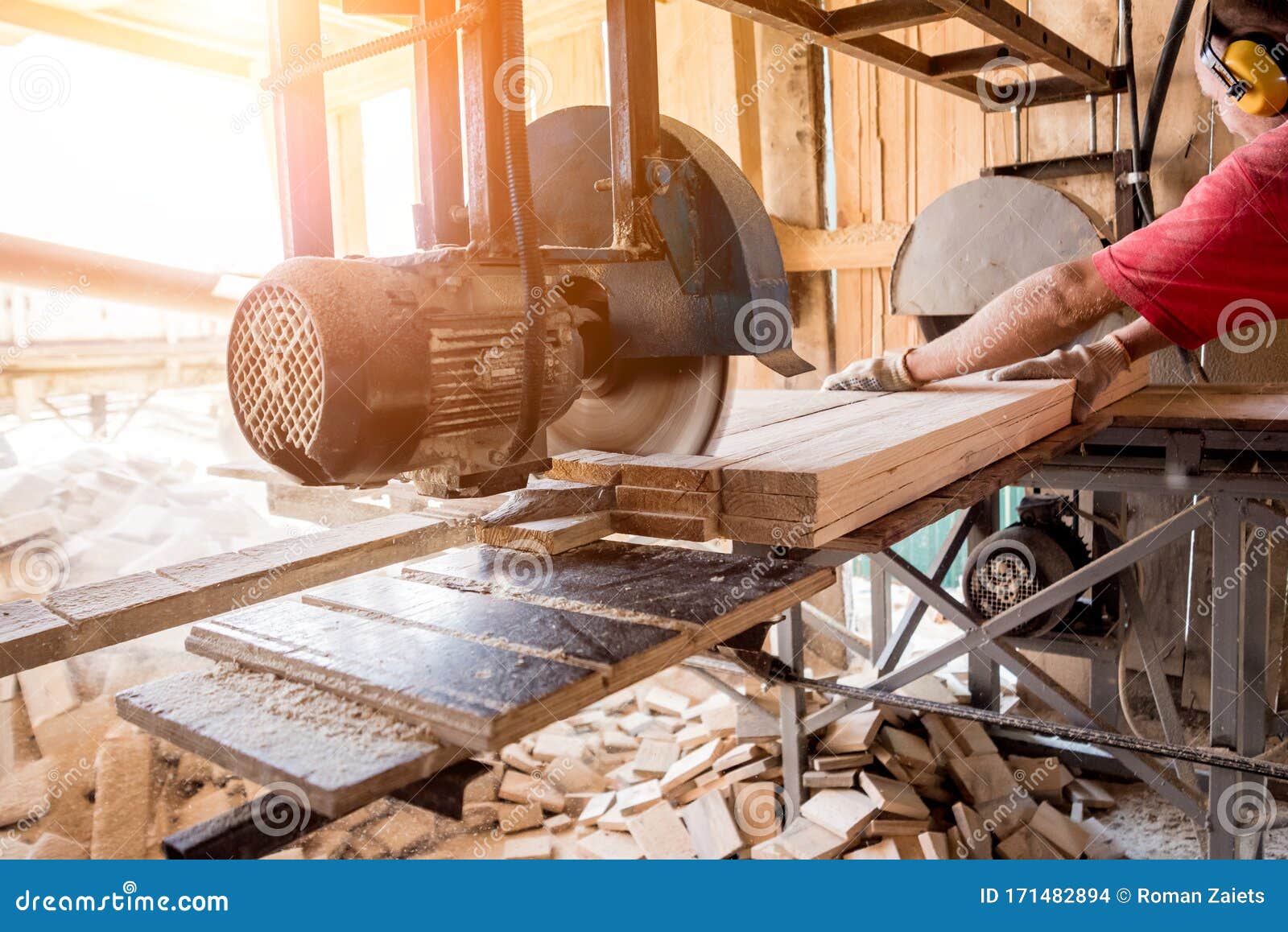 Modern Sawmill. a Carpenter Works on Woodworking the Machine Tool Stock ...
