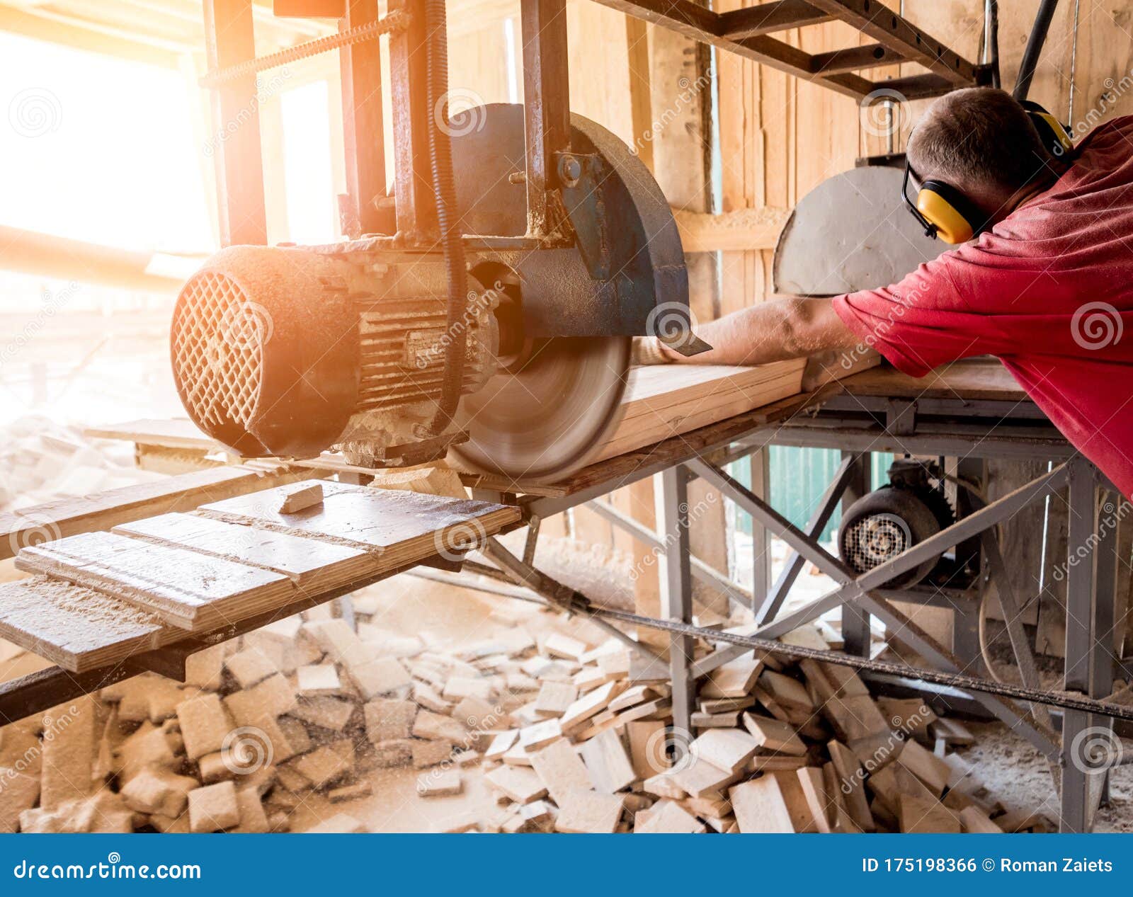 Modern Sawmill. a Carpenter Works on Woodworking the Machine Tool Stock ...