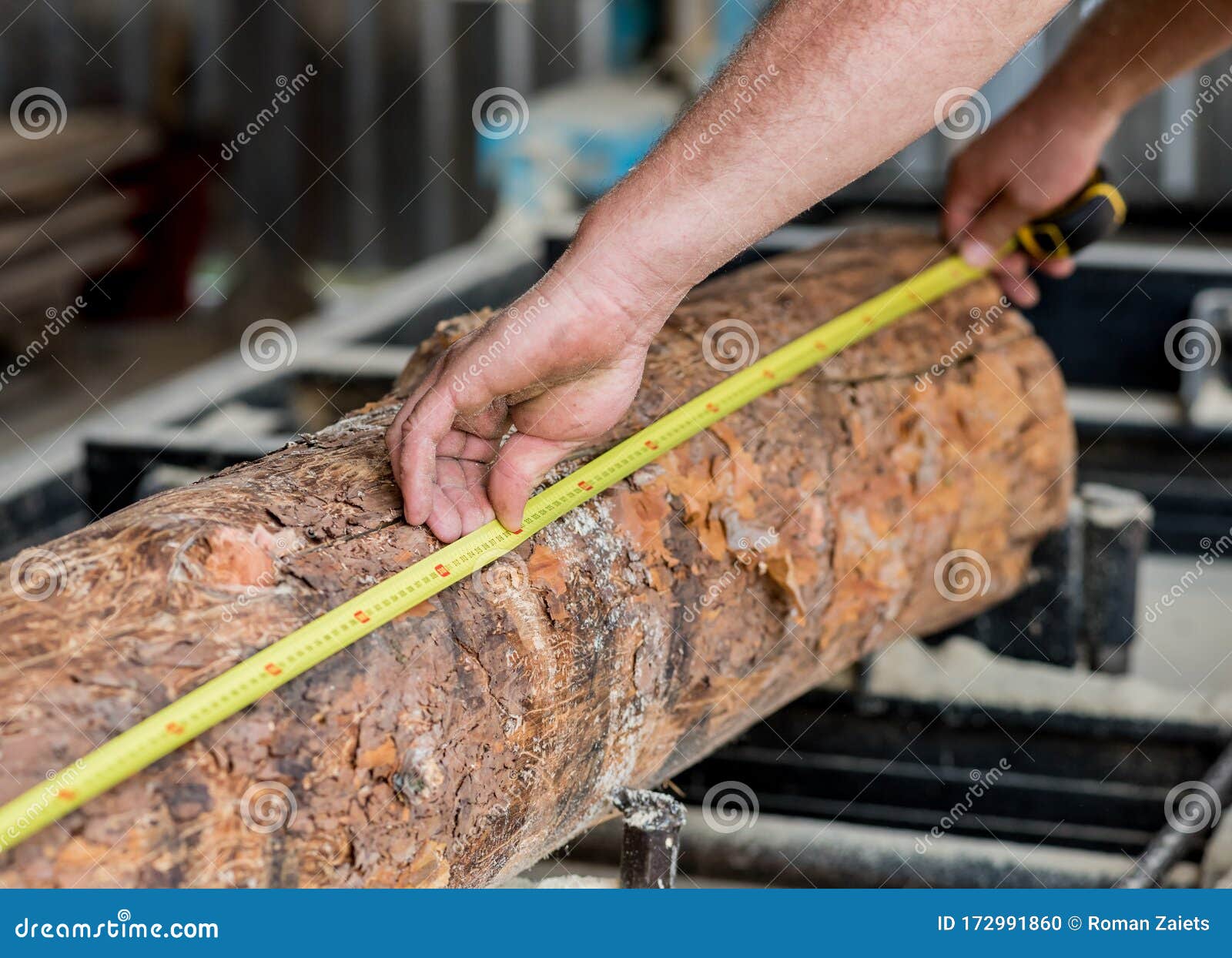 Modern Sawmill. Industry Sawing Boards from Logs Stock Photo - Image of ...