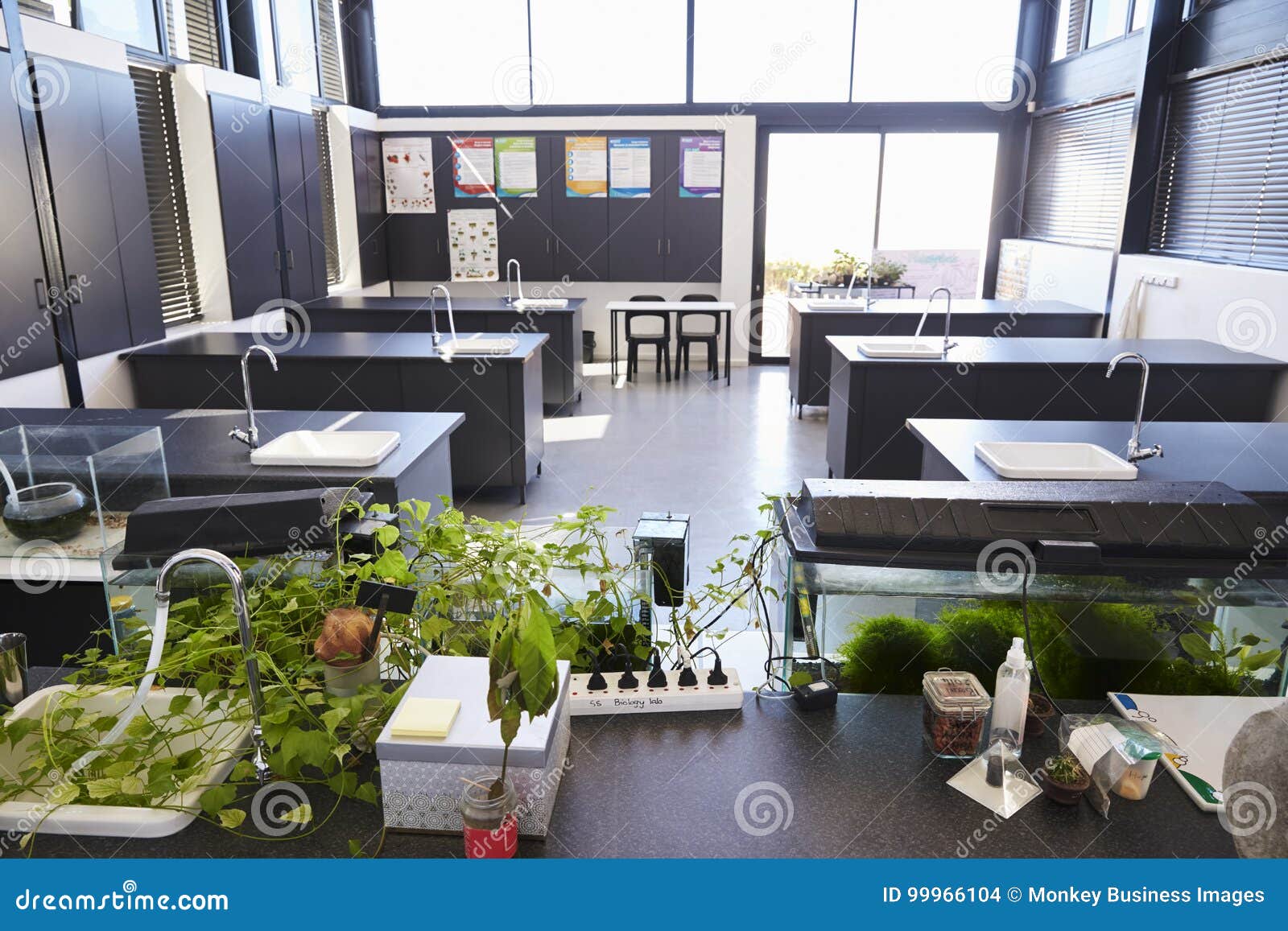 Elementary Science Classroom Design