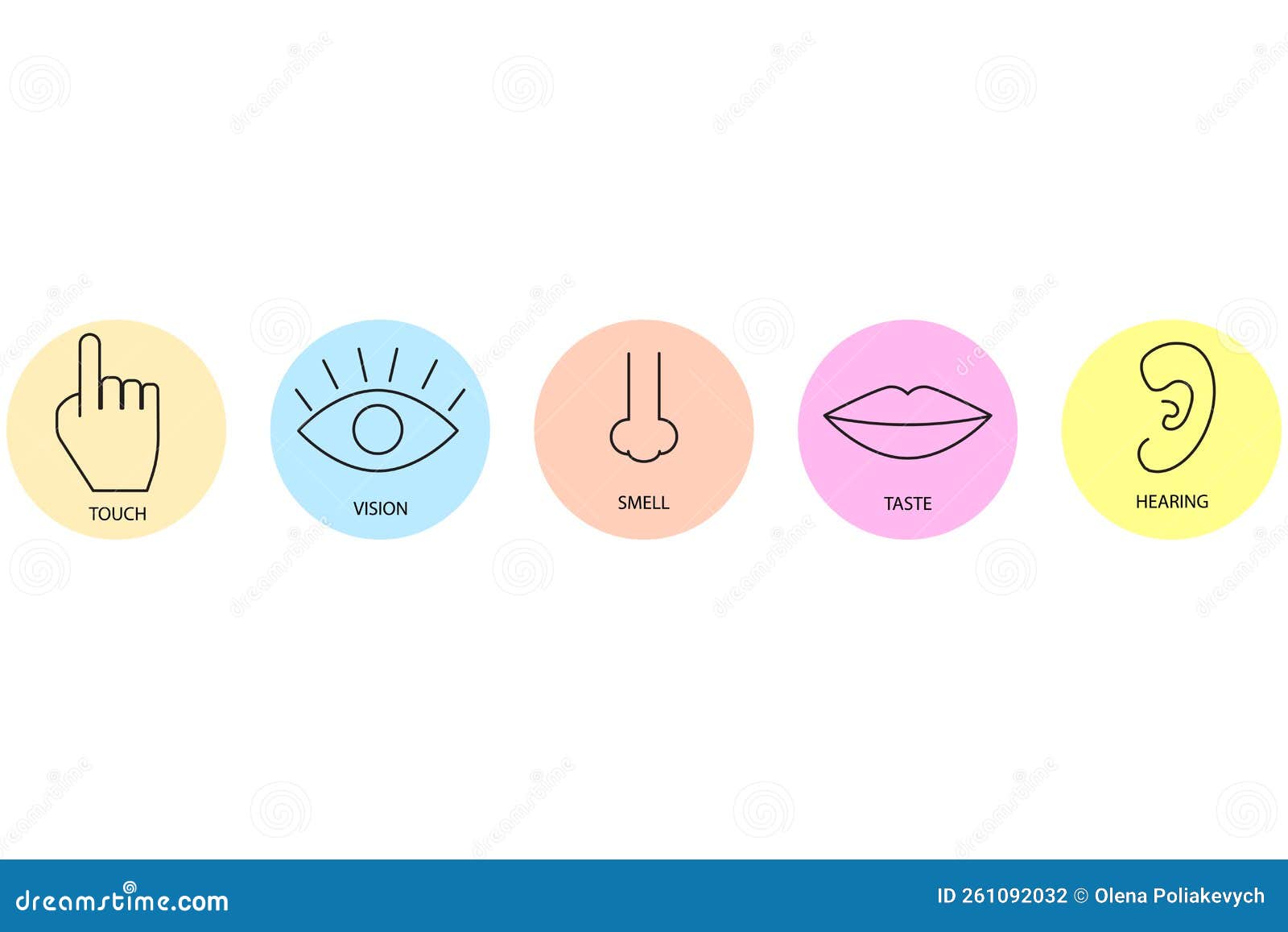 Modern Sense Organs Set. Cartoon Icon. Vector Illustration. Stock Image ...