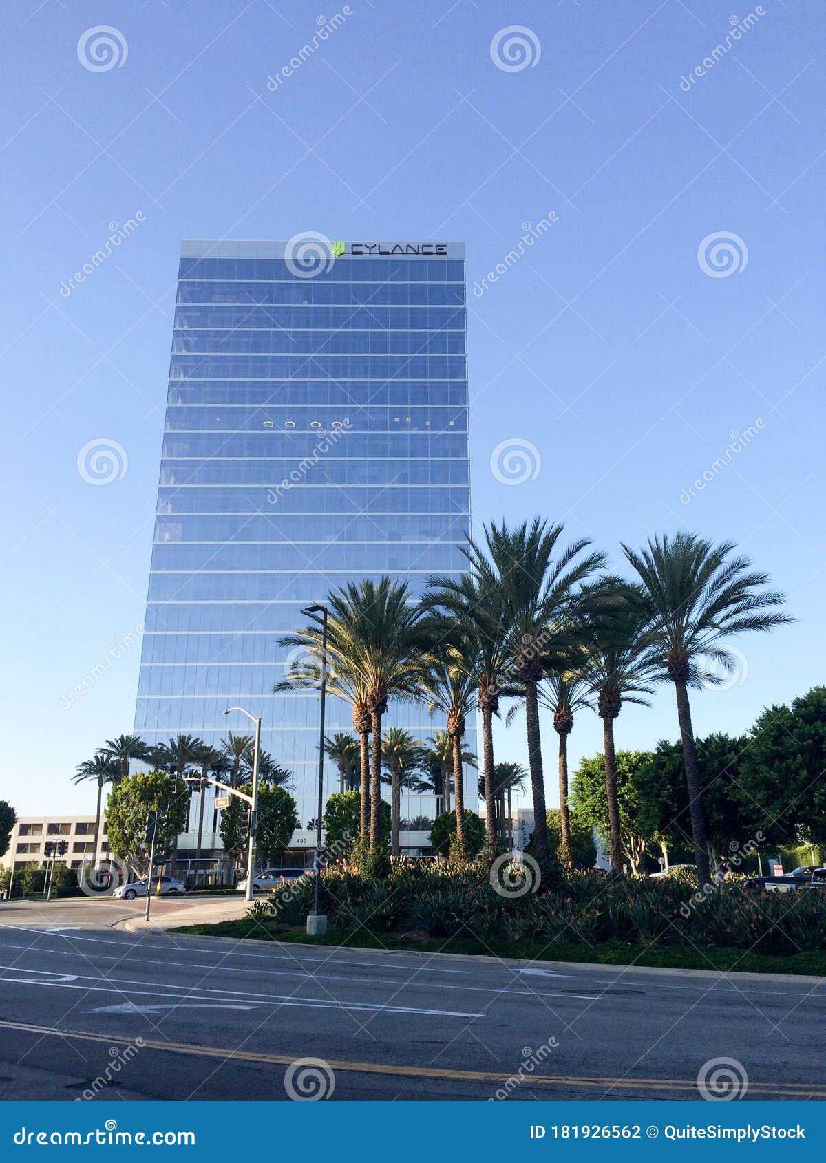 Modern Skyscraper Building with Palm Trees and Shiny Glass Office ...