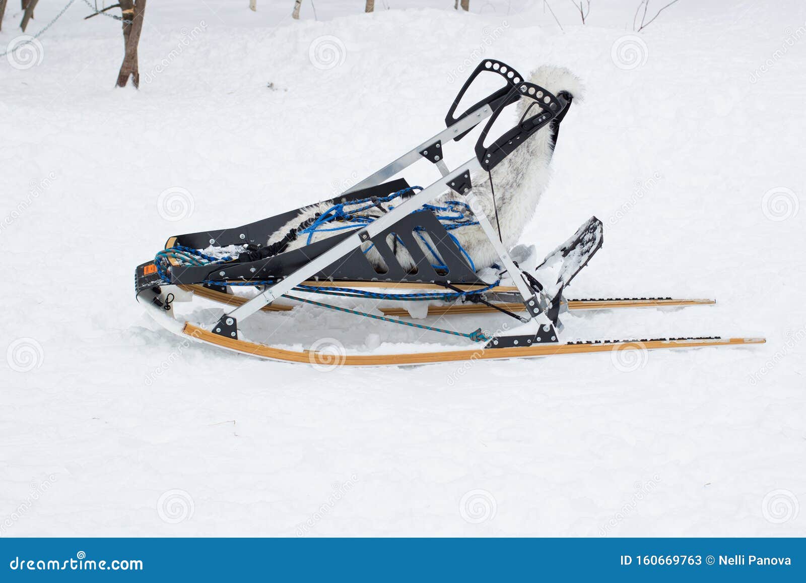 Modern Sled in the Snow in Winter Stock Image - Image of christmas ...