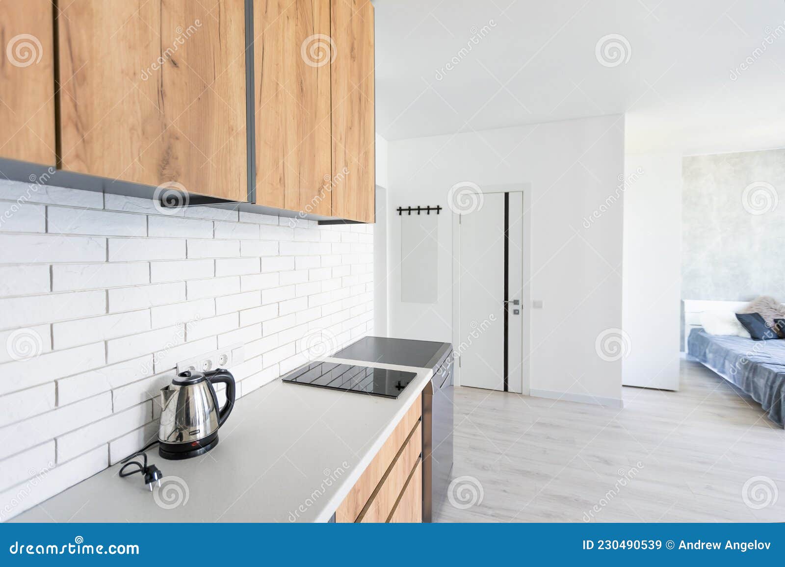 Modern Small Studio Interior with Details Stock Image - Image of kitchen, interior: 230490539