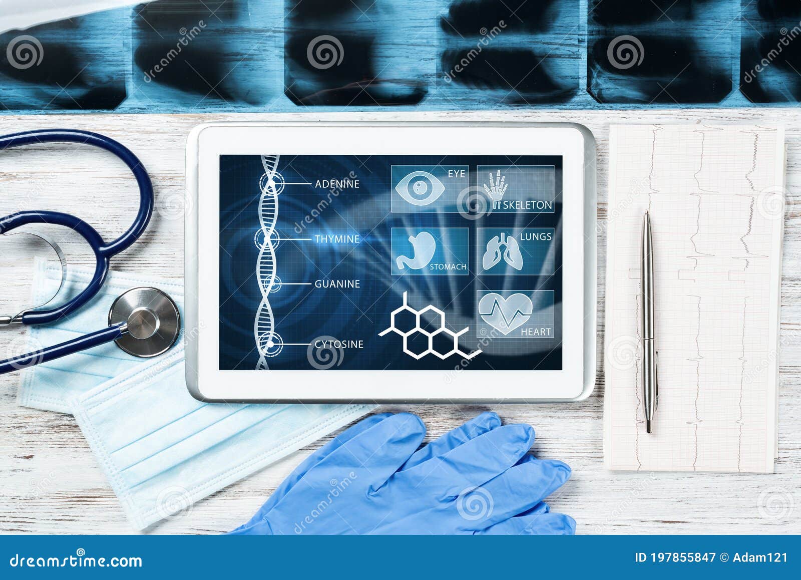 Modern Social Health Insurance Program Stock Image - Image of interface ...