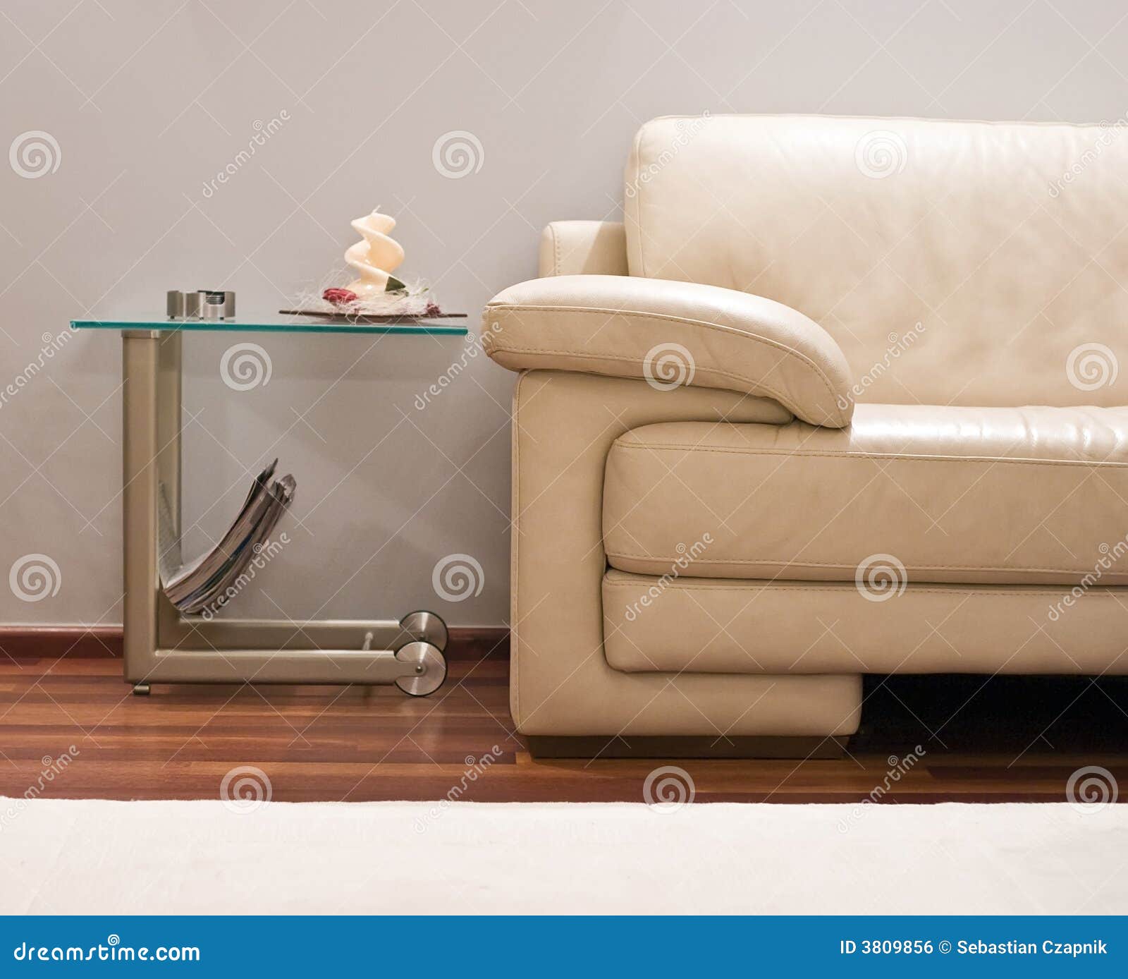Modern sofa stock photo. Image of indoors, decorating - 3809856