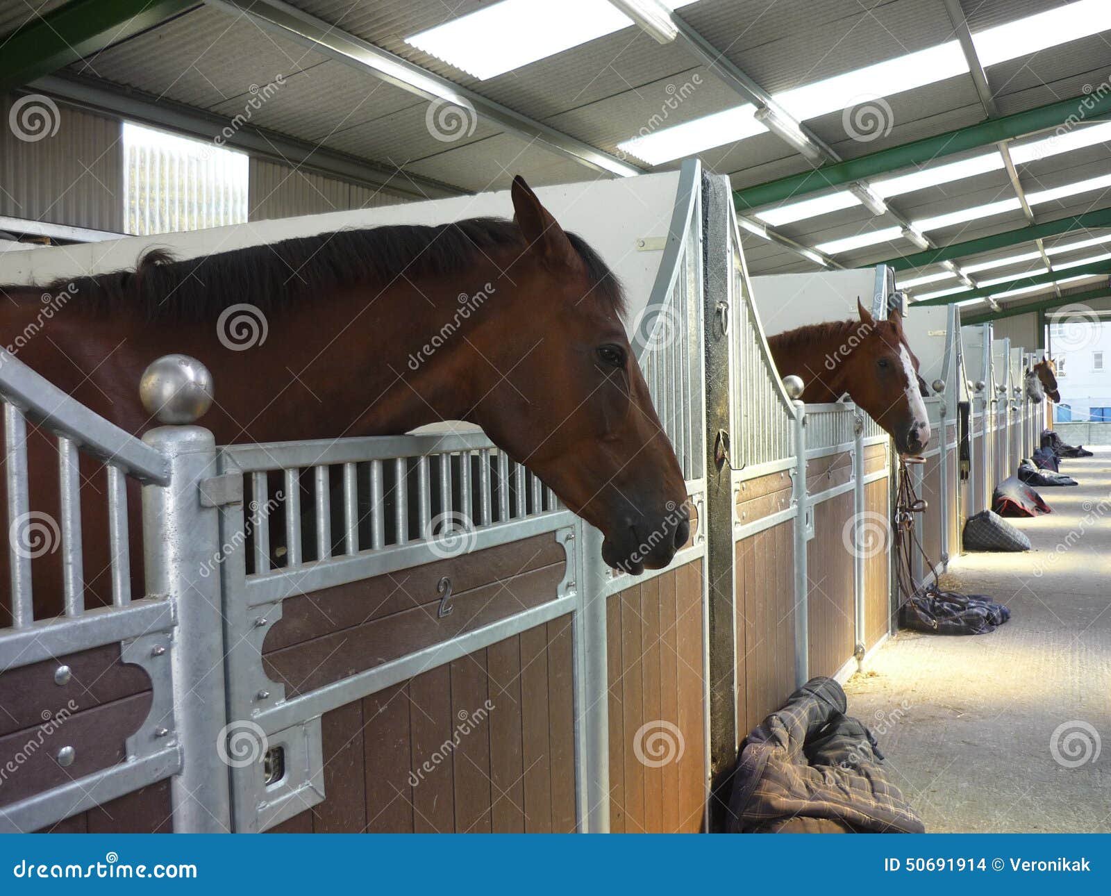 Modern stables stock photo. Image of brown, hobby, stable - 50691914