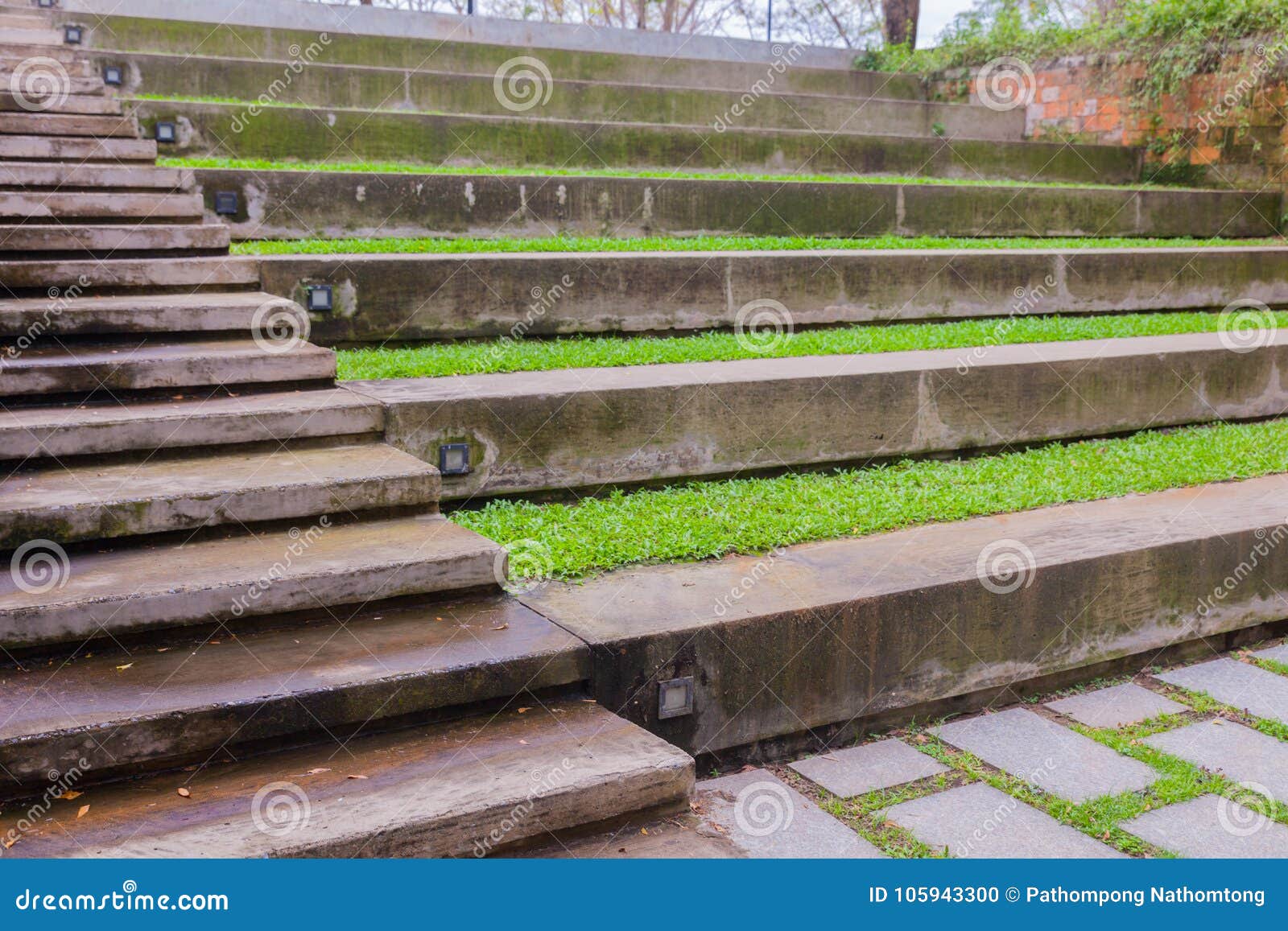 Modern staircase and grass stock photo. Image of grass - 105943300