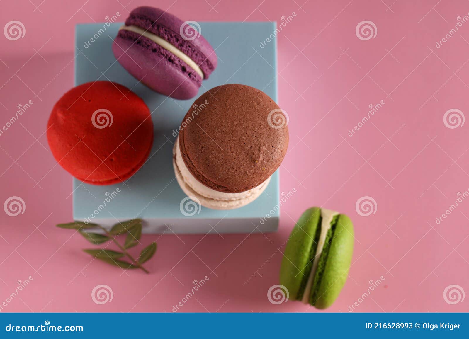Modern Still Life of Macaroon Stock Image - Image of fashion ...