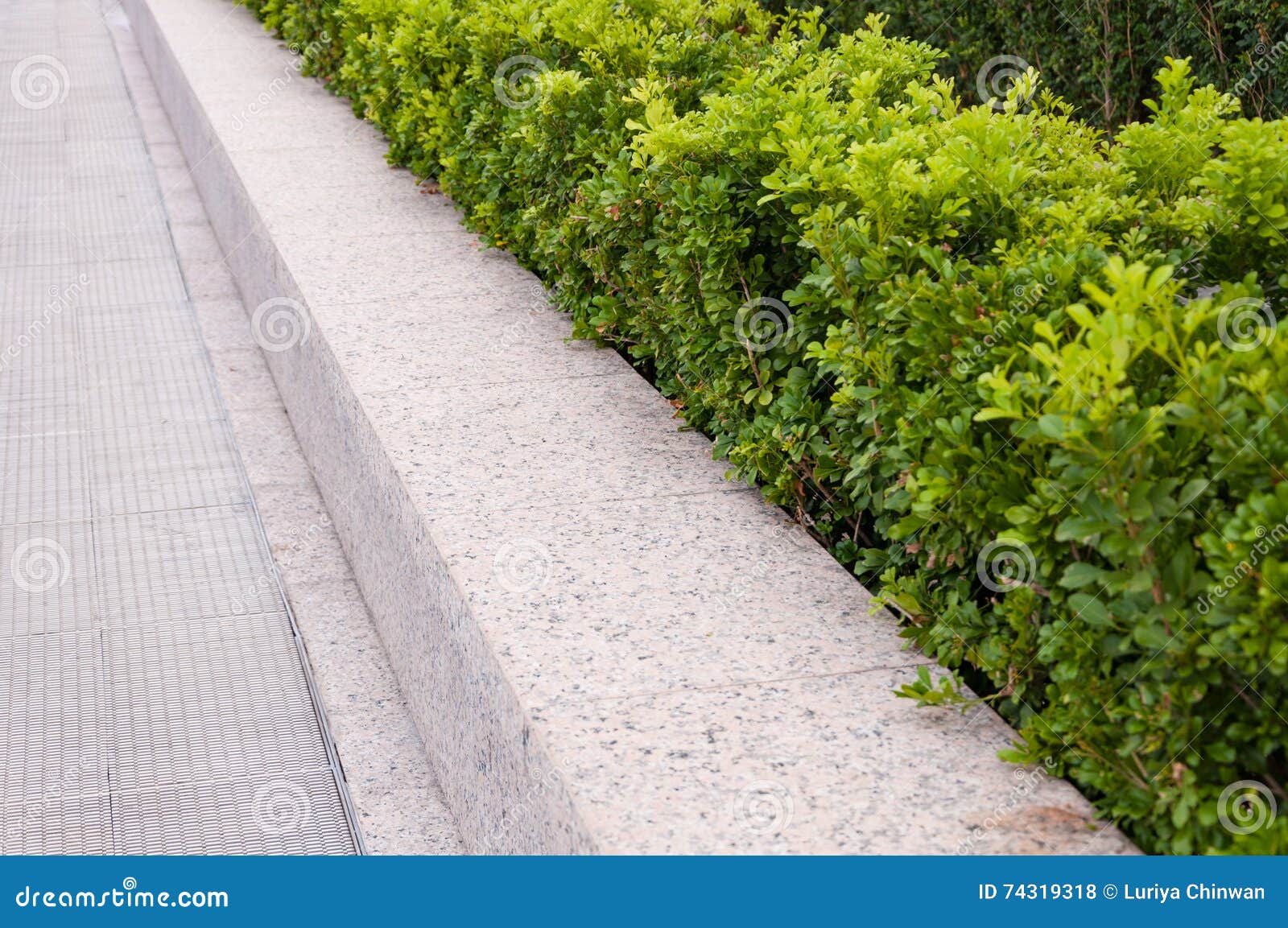 Modern Stone Bench in the Garden Stock Photo - Image of bush, relax ...