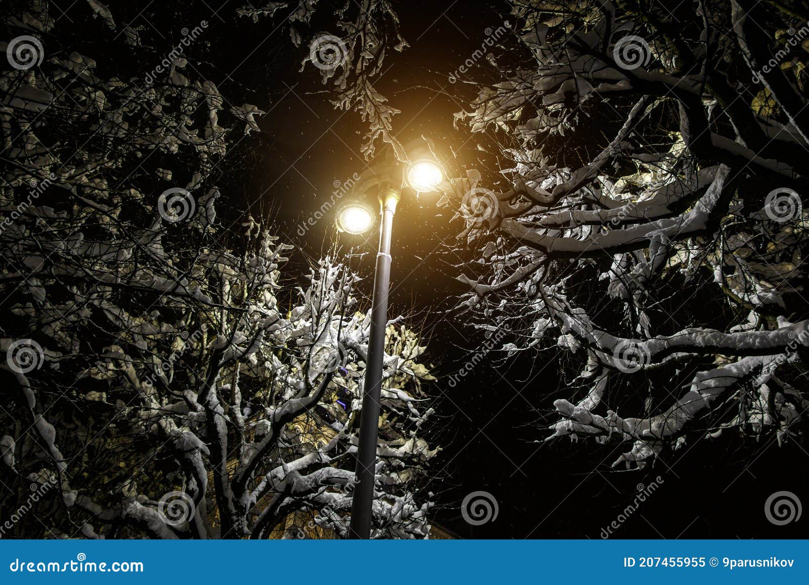 Modern Street Lamp in Winter. Snow in the Trees Around Stock Image ...