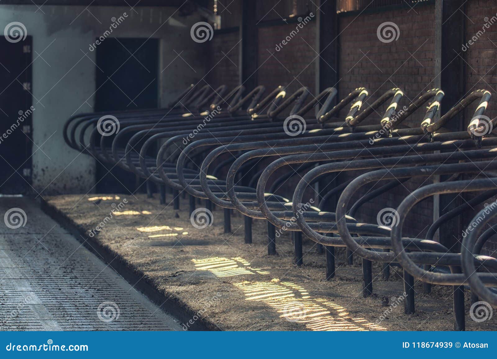 Inside of Empty Dairy Barn stock image. Image of farming - 118674939